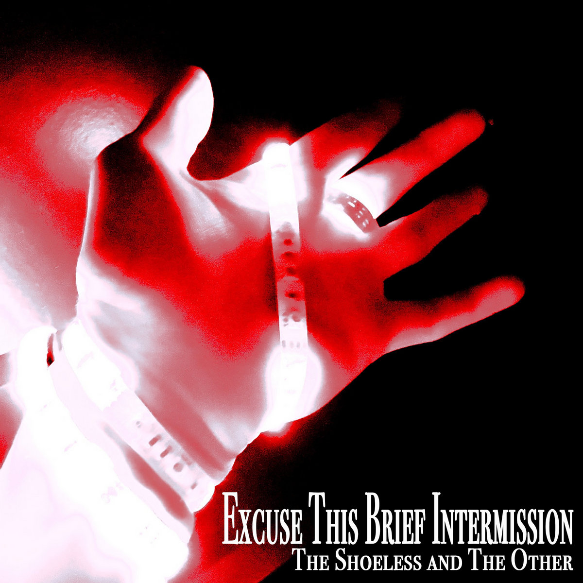 Excuse This Brief Intermission (remaster) | the Shoeless and the Other