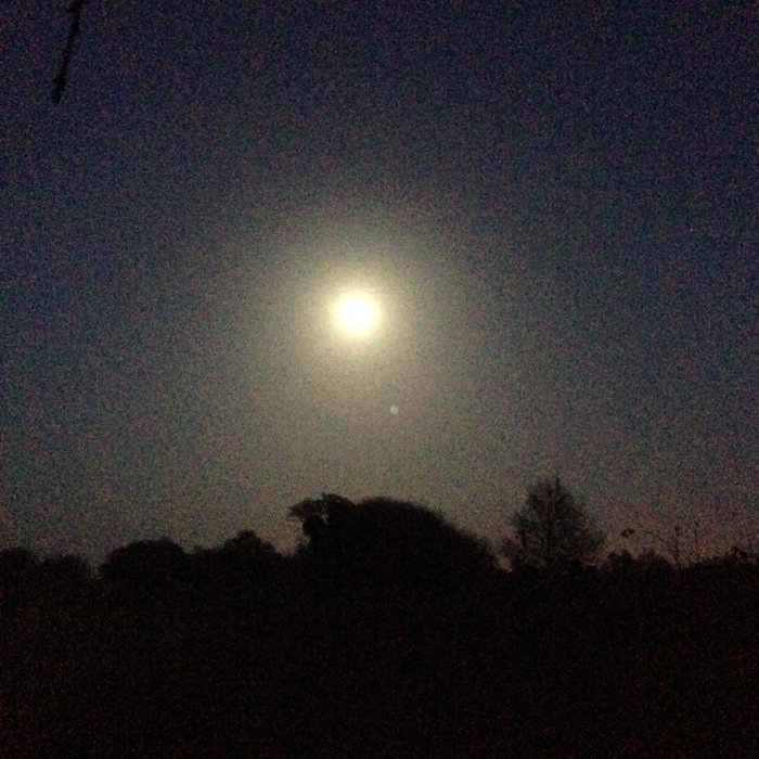 Wedmore Sound Map: Introductory Album | Peter Annear