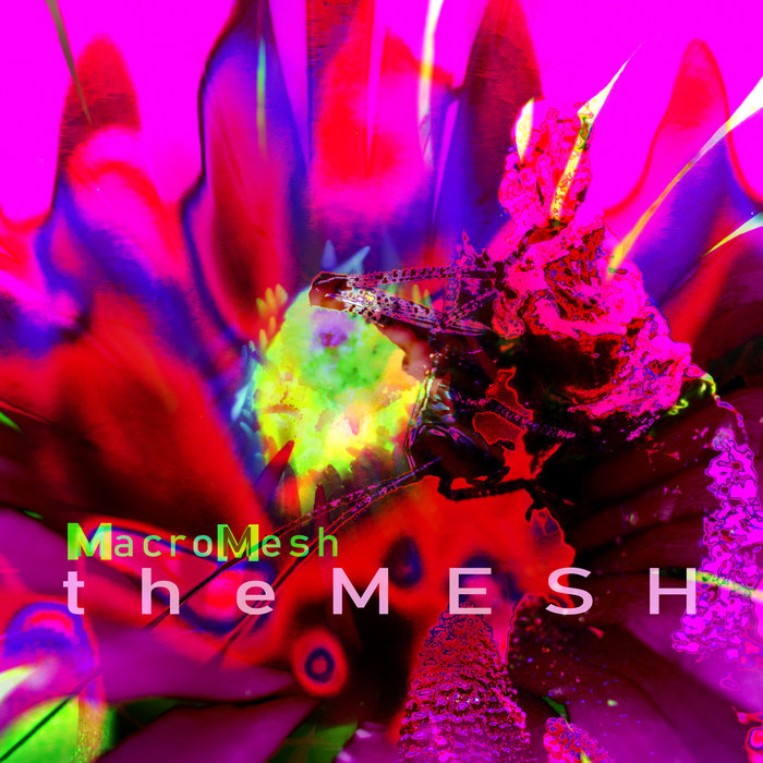 The Mesh | Macro Mesh