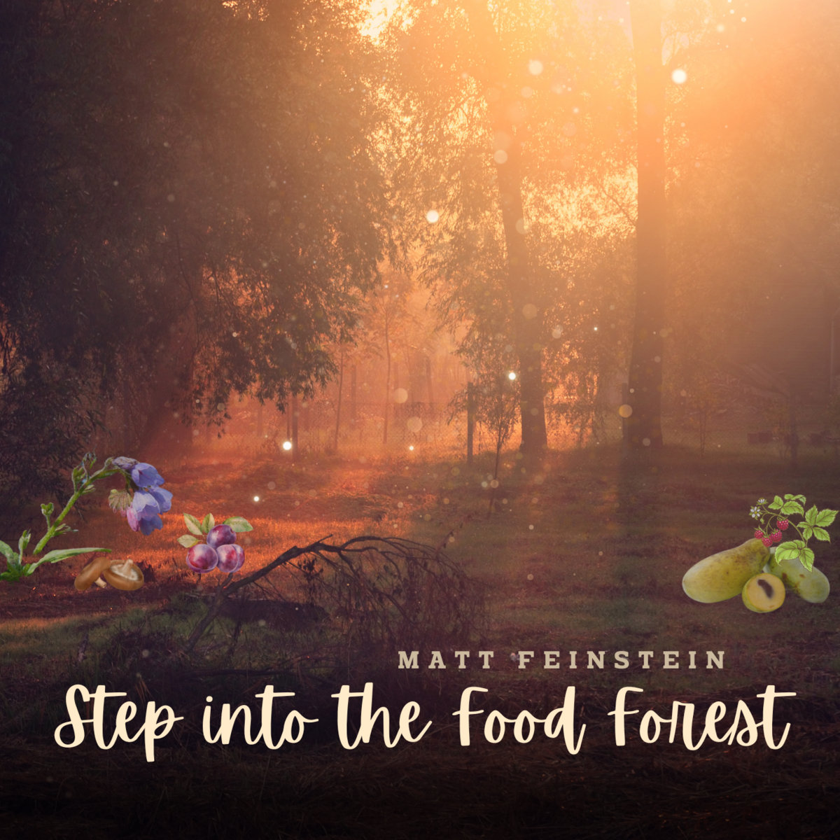 Step Into the Food Forest | Matt Feinstein