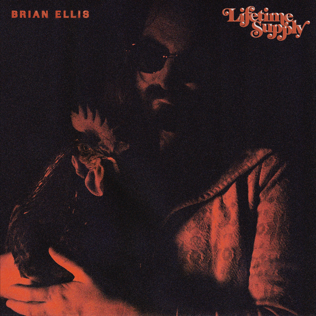 Lifetime Supply | Brian Ellis