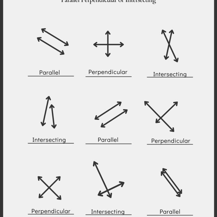 para-fect para-llell | pinkylieder