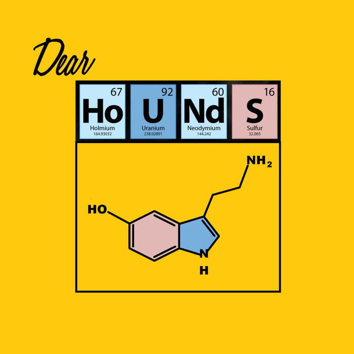 Dear Hounds | Dear Hounds