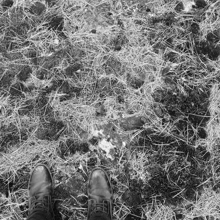 Luc Andrew - Out of The Woodwork | Luc Andrew | JFFR