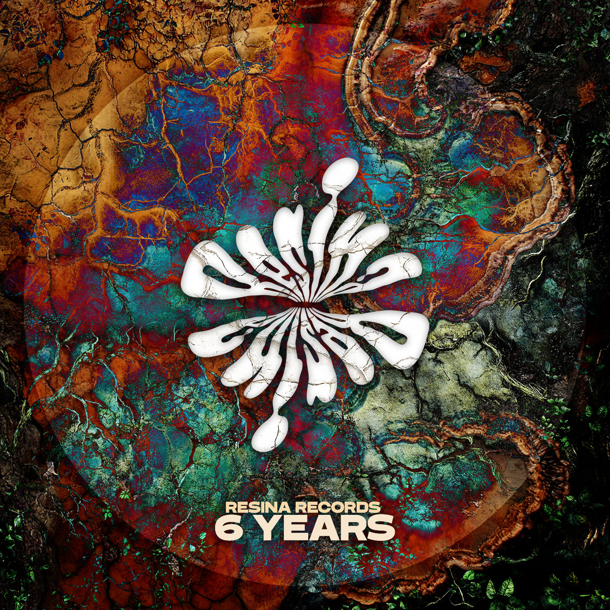 Resina Records: 6 Years | Resina Records