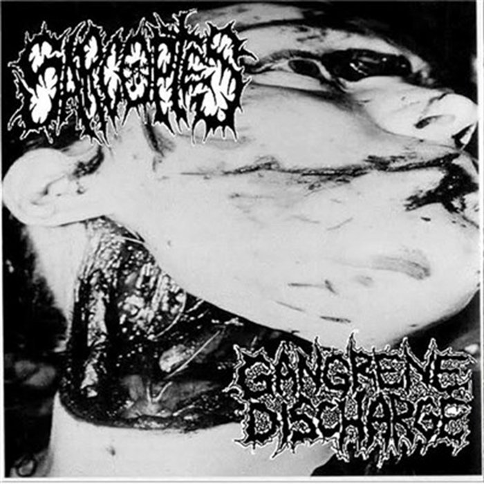 Sarcoptes Gangrene Discharge | Gangrene Discharge
