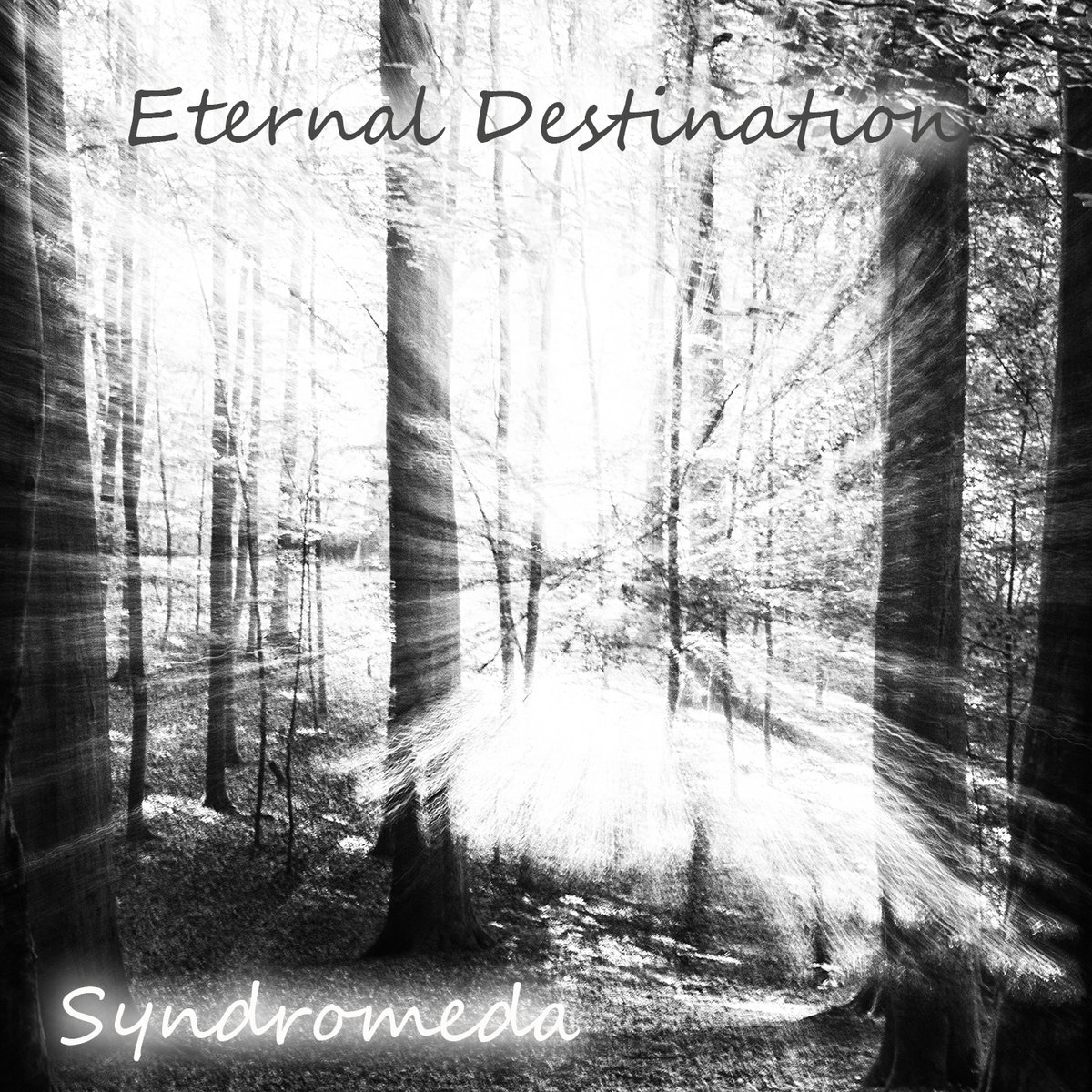 Eternal Destination (self-published) | Syndromeda