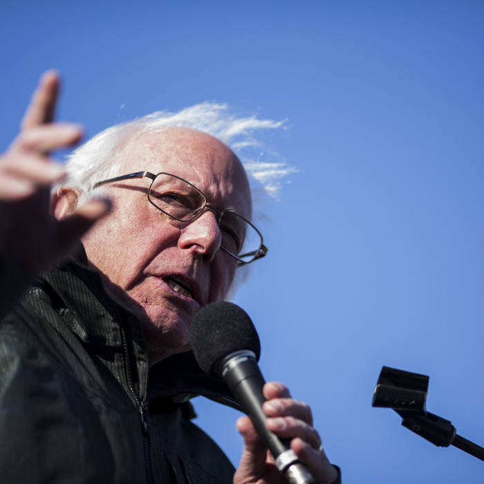 Bernie Was Right | Timothy Bracken