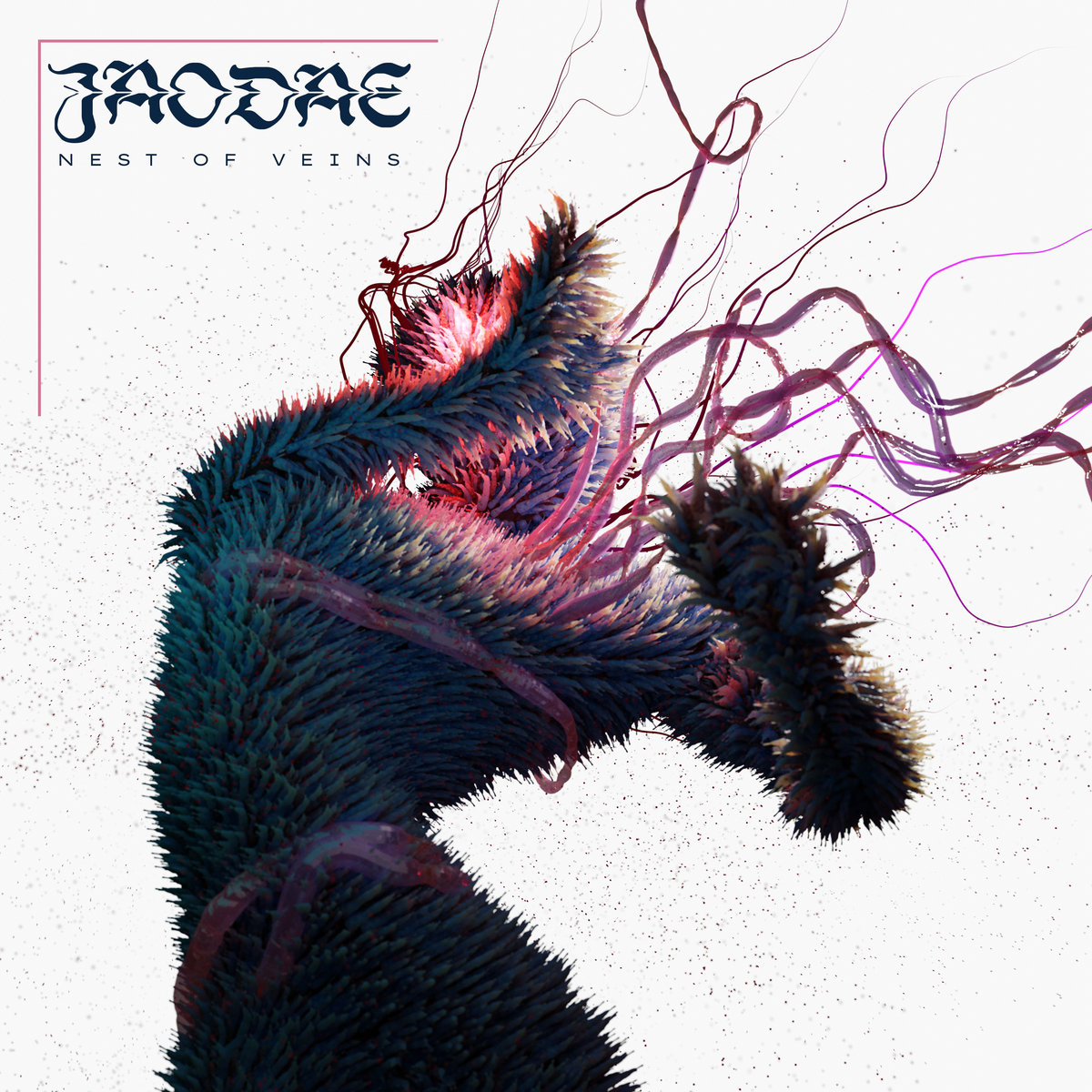 Nest of Veins | Jaodae