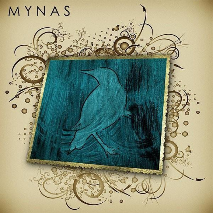 Mynas | Mynas