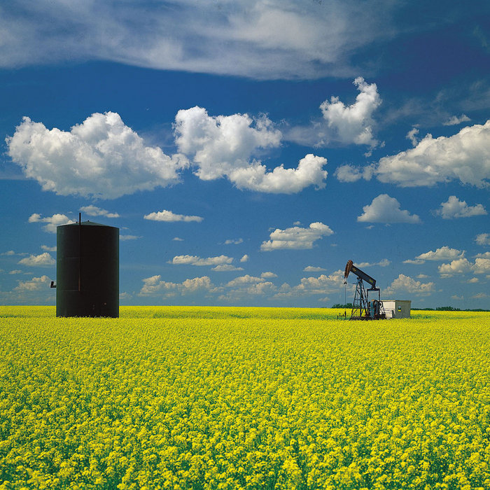 Fields Of Dreams Of Fields | The Long Midwestern Goodbye