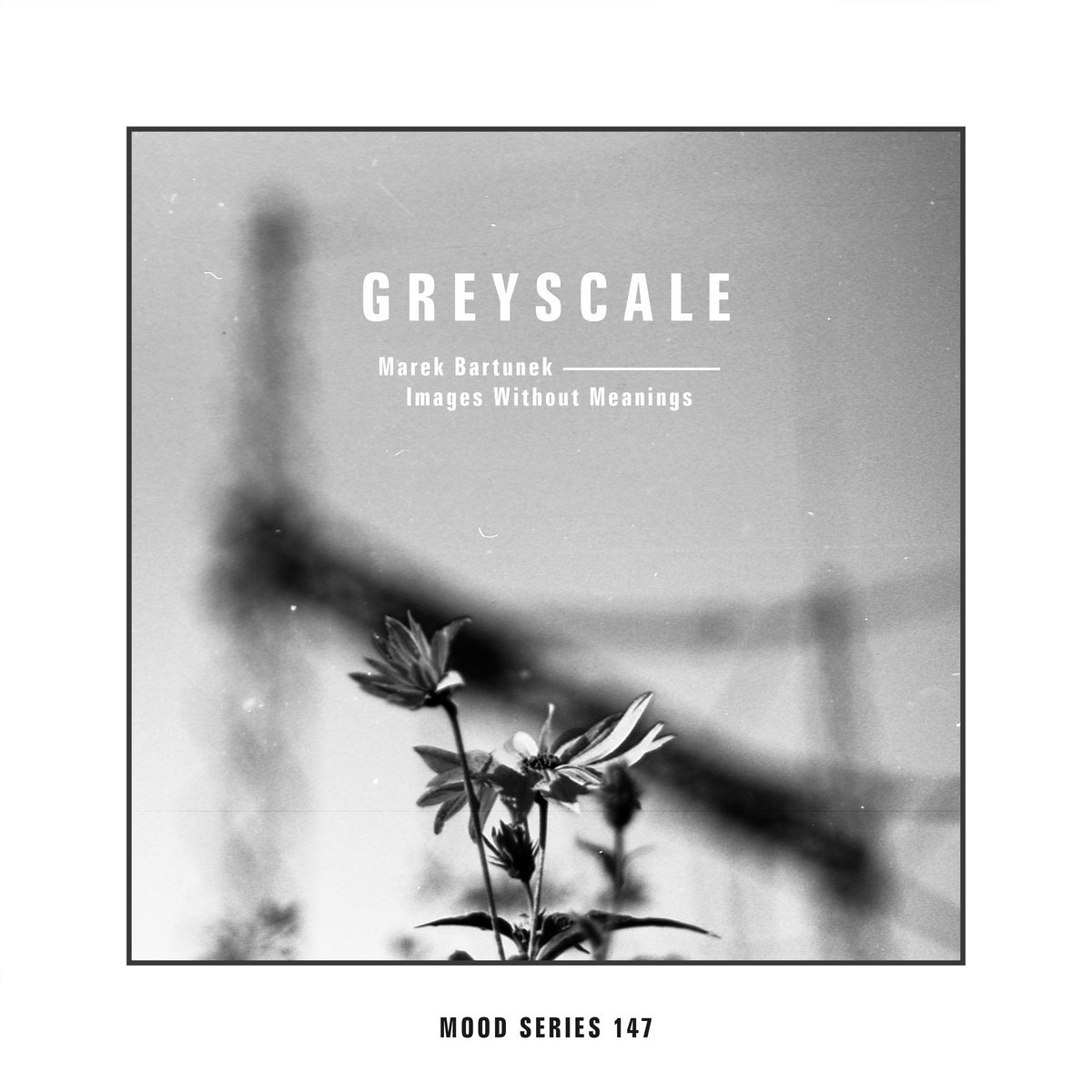 Movies Without Sound | Marek Bartunek | Scale Limited