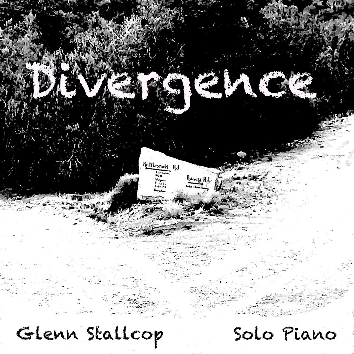 Divergence | Glenn Stallcop