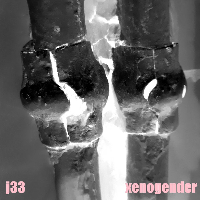 xenogender | j33