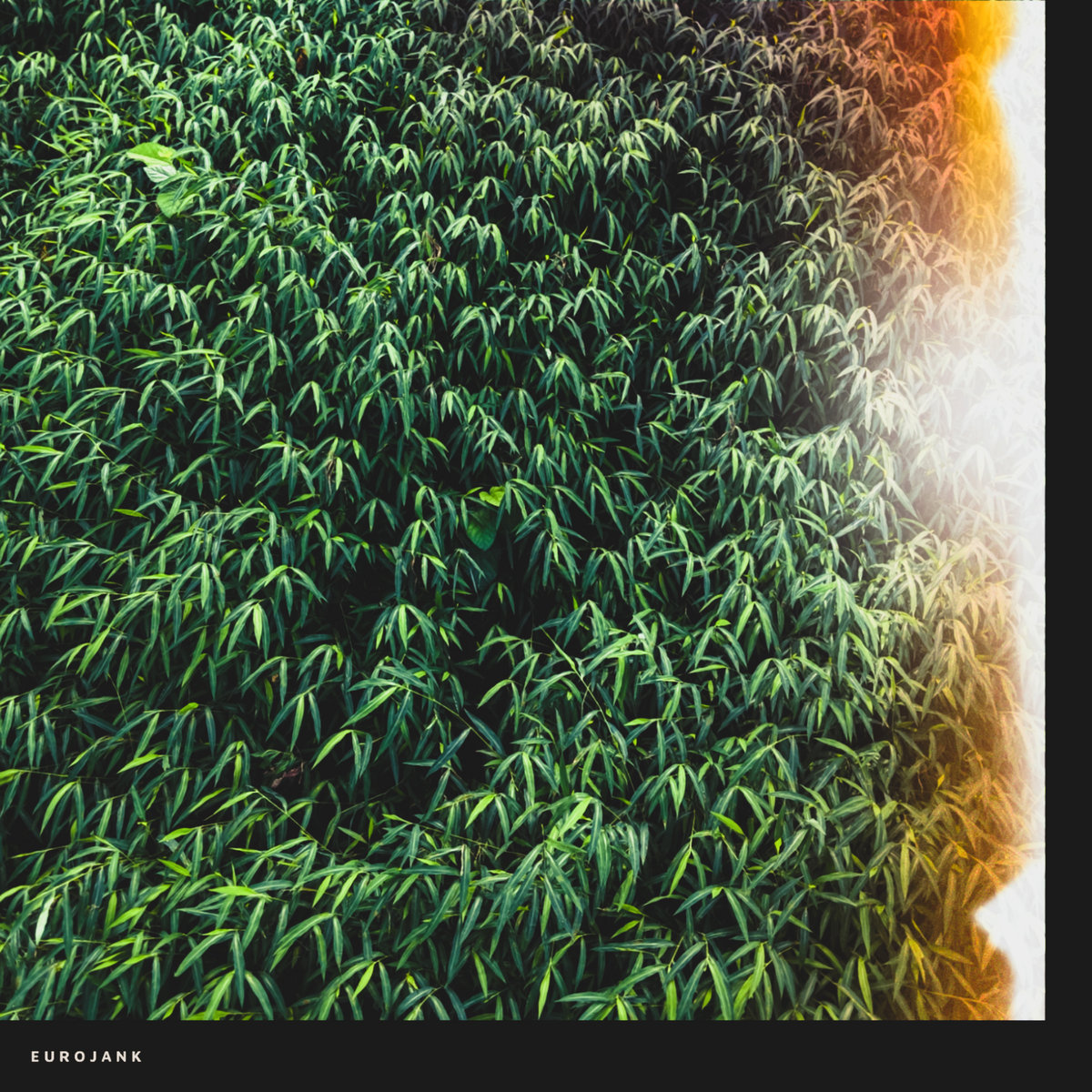 Eurojank | Robbie Elizee