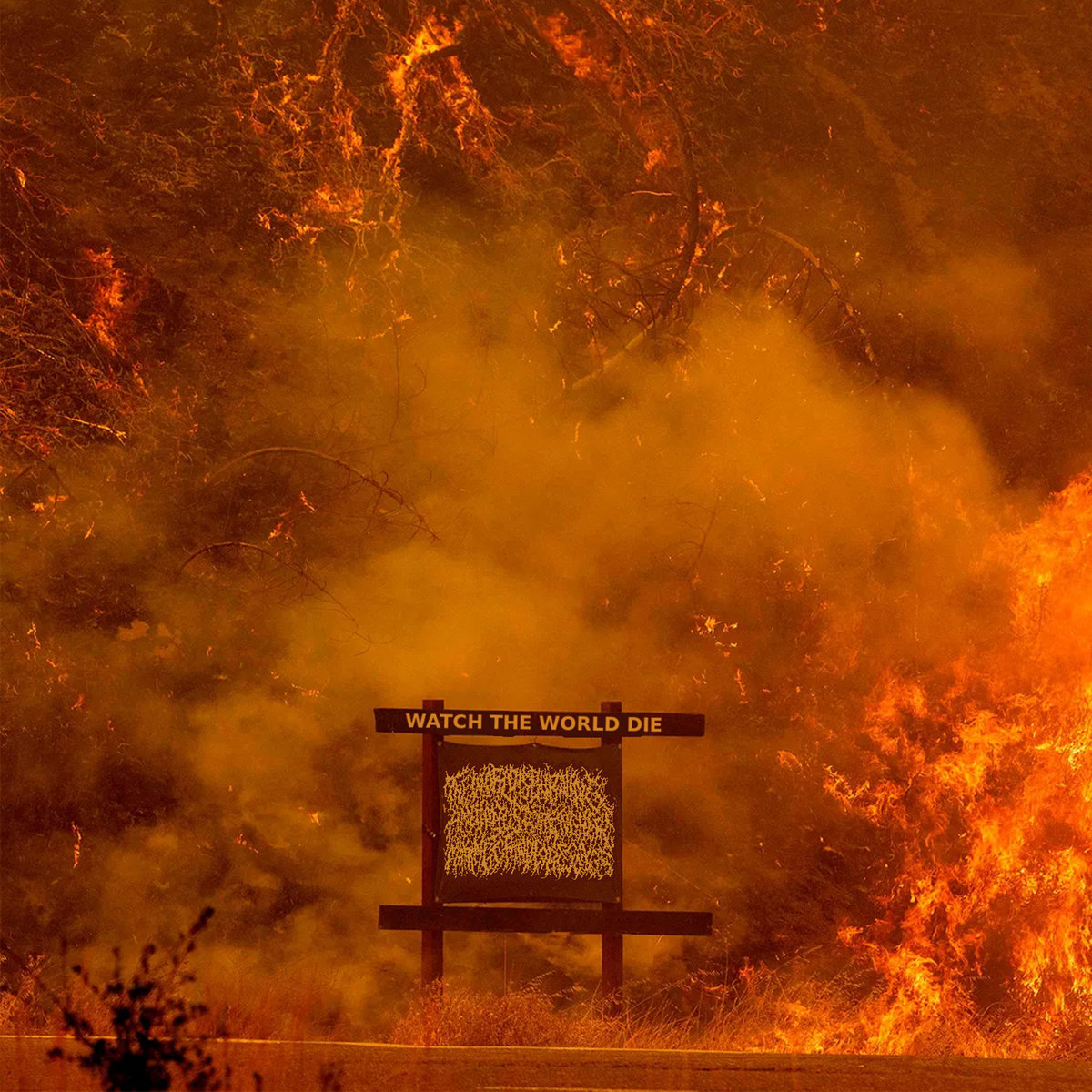 Watch the World Die | The World is Burning and I'm Just Sitting Here ...