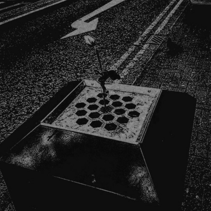 DEAD-NET 019: A Beginning (Descent) | Hexagon Trail | Legs Akimbo Records