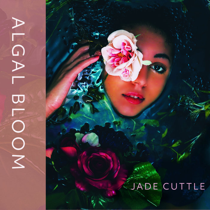 Algal Bloom | Jade Cuttle
