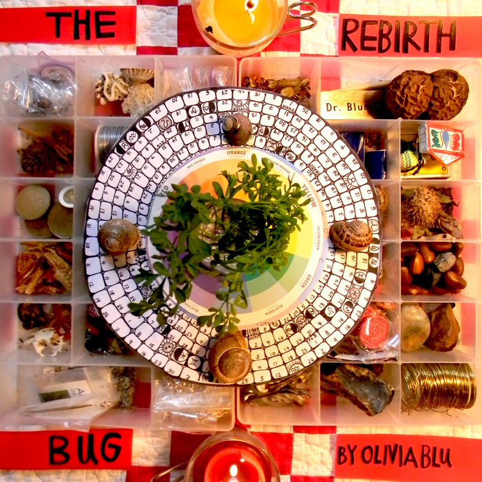 messenger bird | Olivia Blumenthal