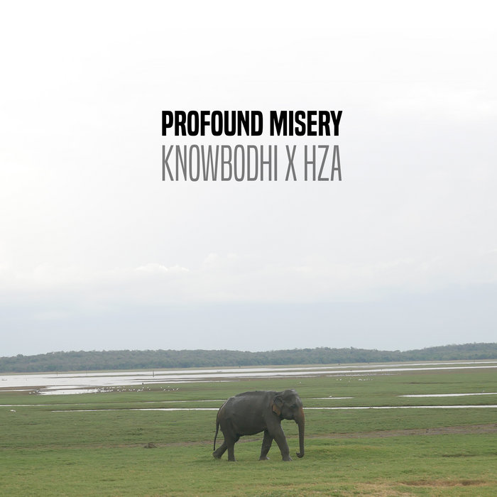 profound misery | know bodhi x hza | know bodhi
