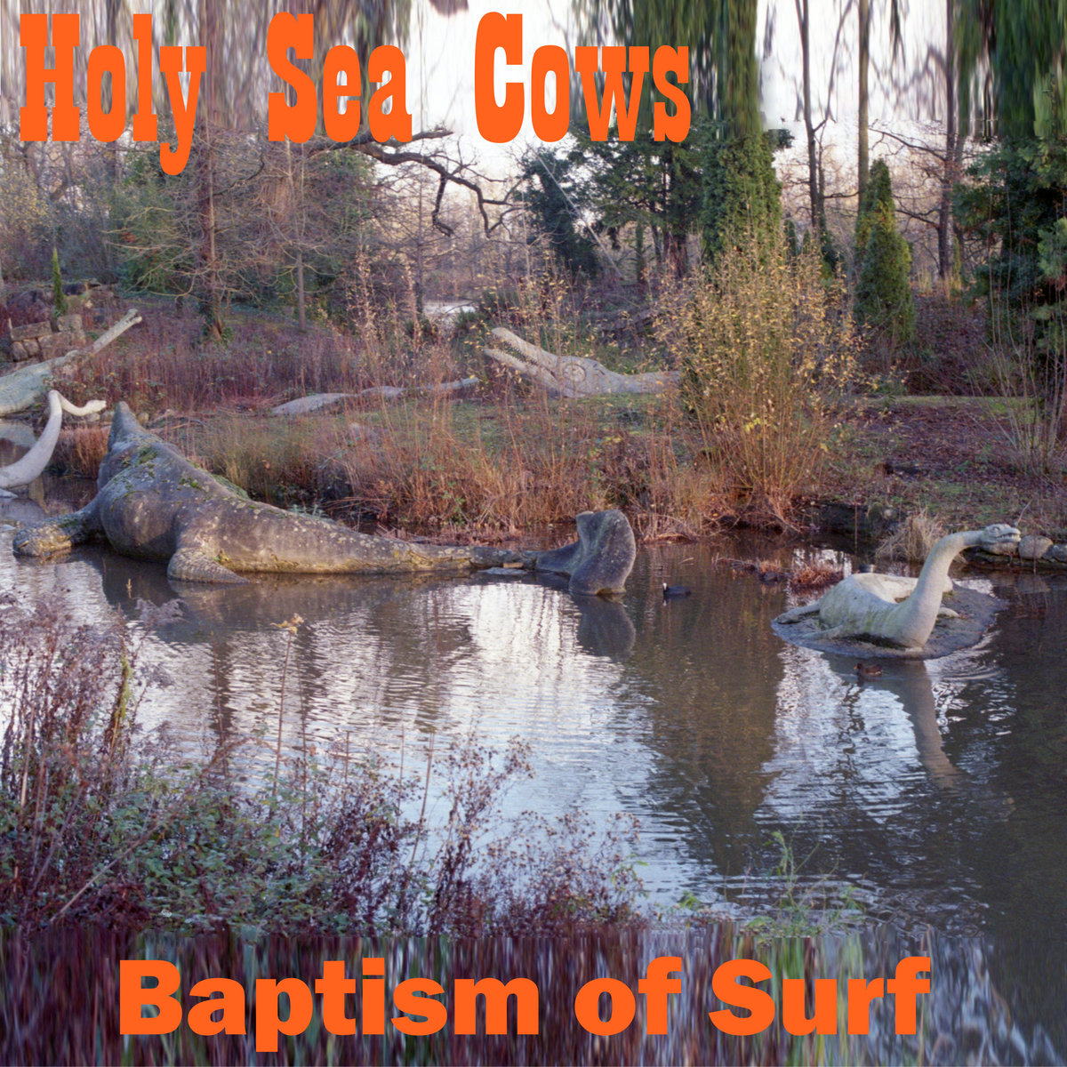 Baptism of Surf | Holy Sea Cows