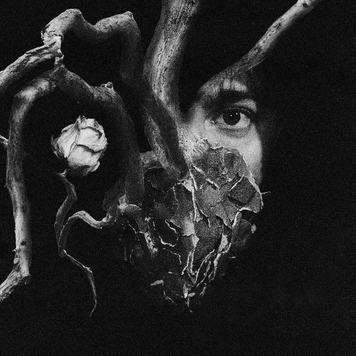 Overtaken | Dusken Harmony