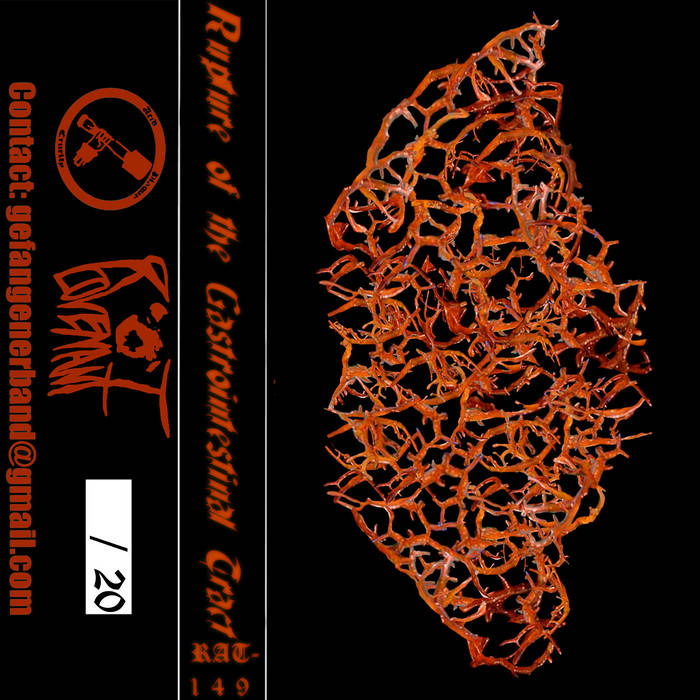 1 Guy 1 Screwdriver | Rat Covenant