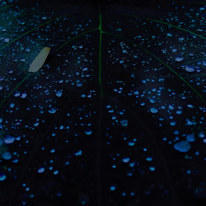 Let Me Put Myself Together | mu tate