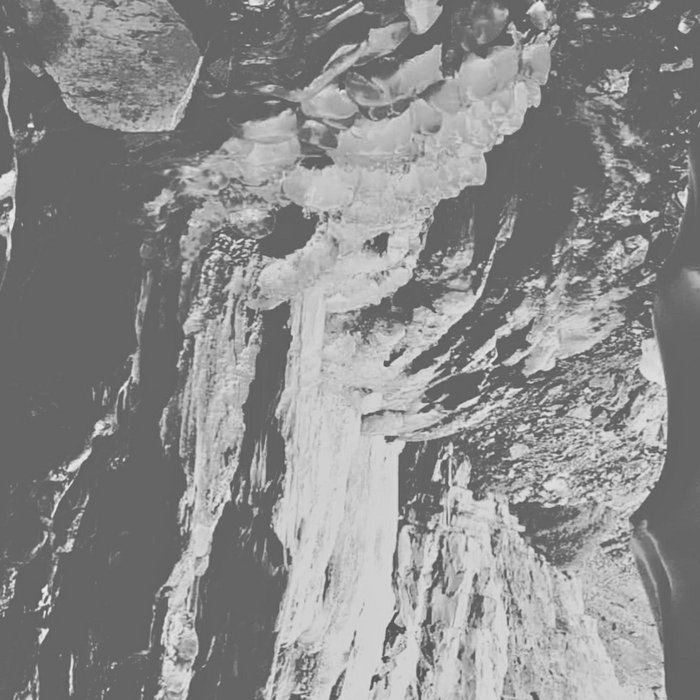 Winter | Torrey Pines