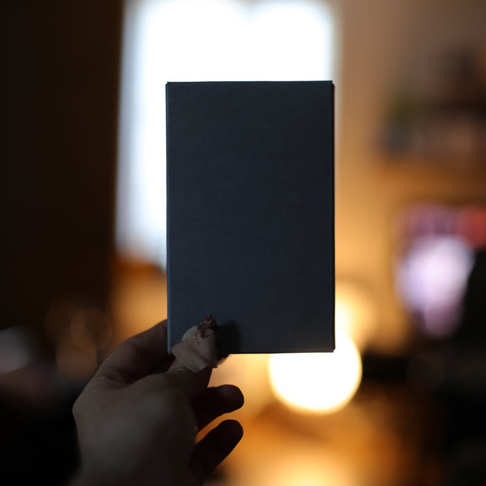 The Wig | Andrew Fogarty / David Lacey | Fort Evil Fruit