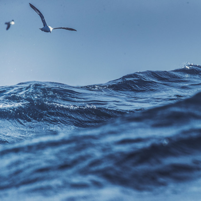 Liquid Meditation & Yoga | Mancha Red