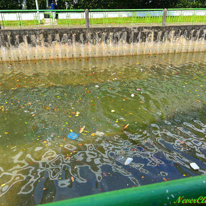 NeverCloseScape | Alex Tseng