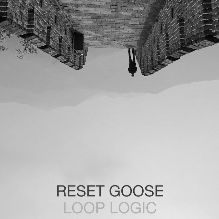 Loop Logic | Reset Goose