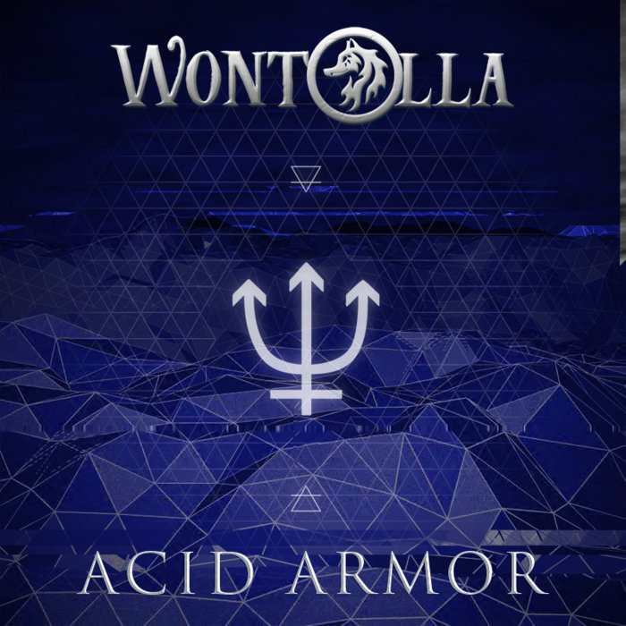 Acid Armor | Wontolla