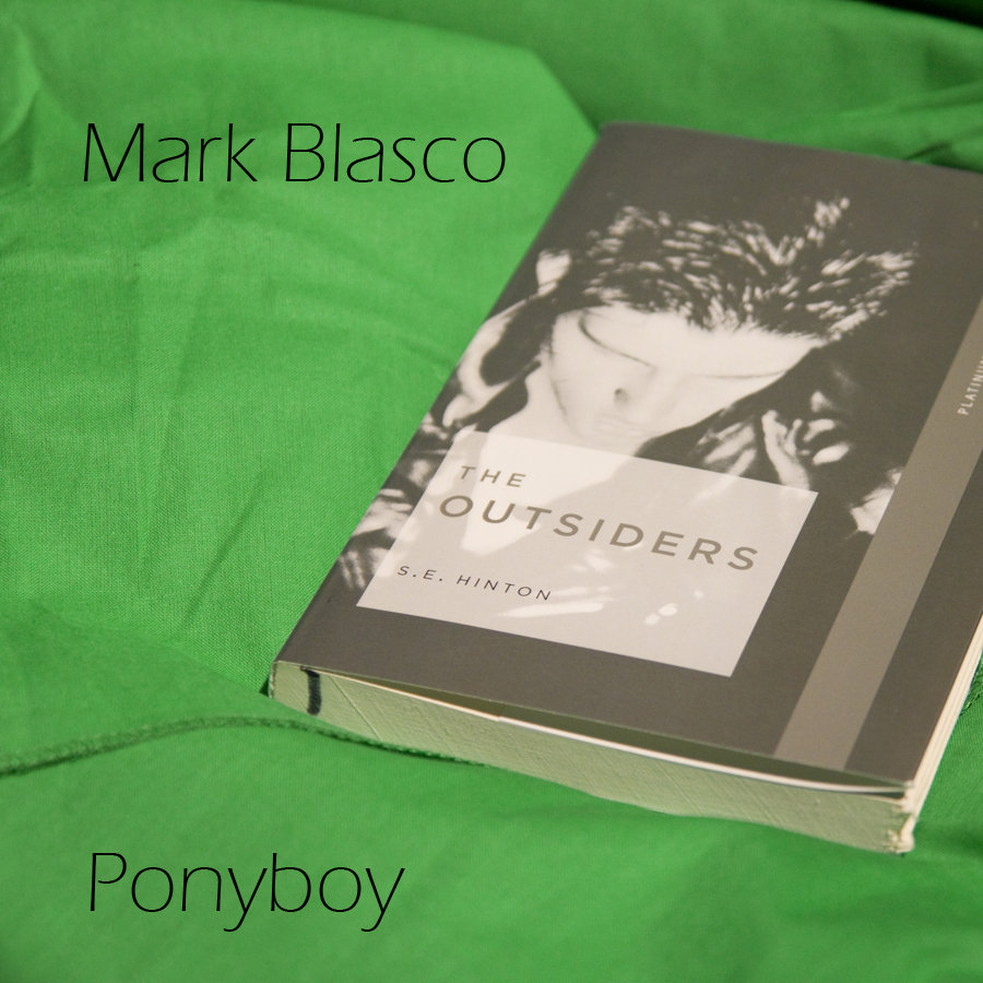 The Outsiders Book Ponyboy