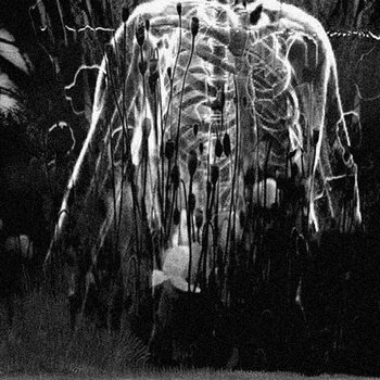 Music | angus carter