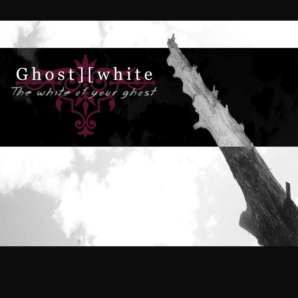 The White of your Ghost | GhostWhite | Ghostwhite