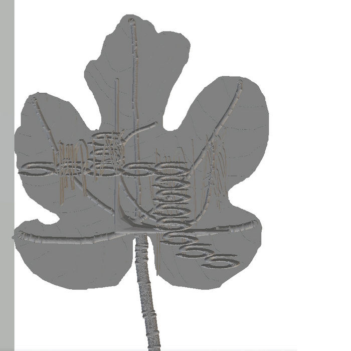 How to draw a curve | A S Guthrie