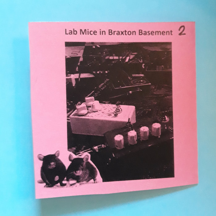 Lab Mice in Braxton Basement 2 | Lab Mice | Amptext