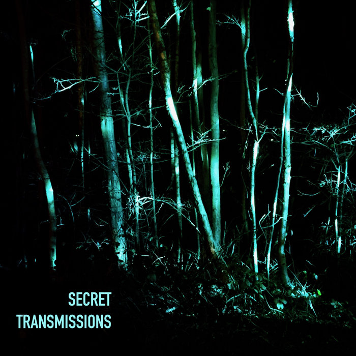Secret Transmissions | Jonas Ruchenhever