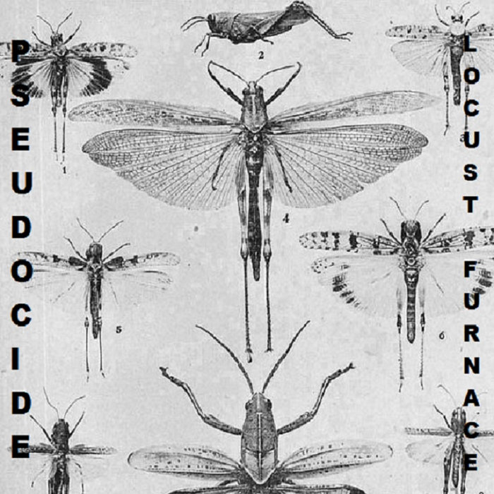 Locust Furnace | Pseudocide