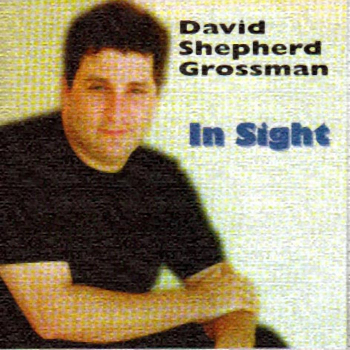 In Sight (full album) | DSG | David Shepherd Grossman