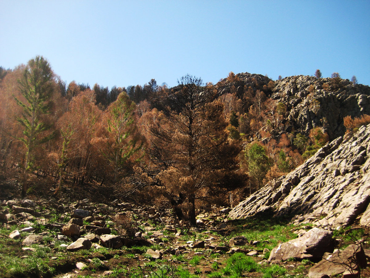 LP demo | Rosario Baeza - Diego Pozzi | Rosario Baeza y Diego Pozzi