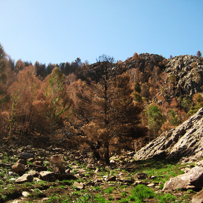 LP demo | Rosario Baeza - Diego Pozzi | Rosario Baeza y Diego Pozzi