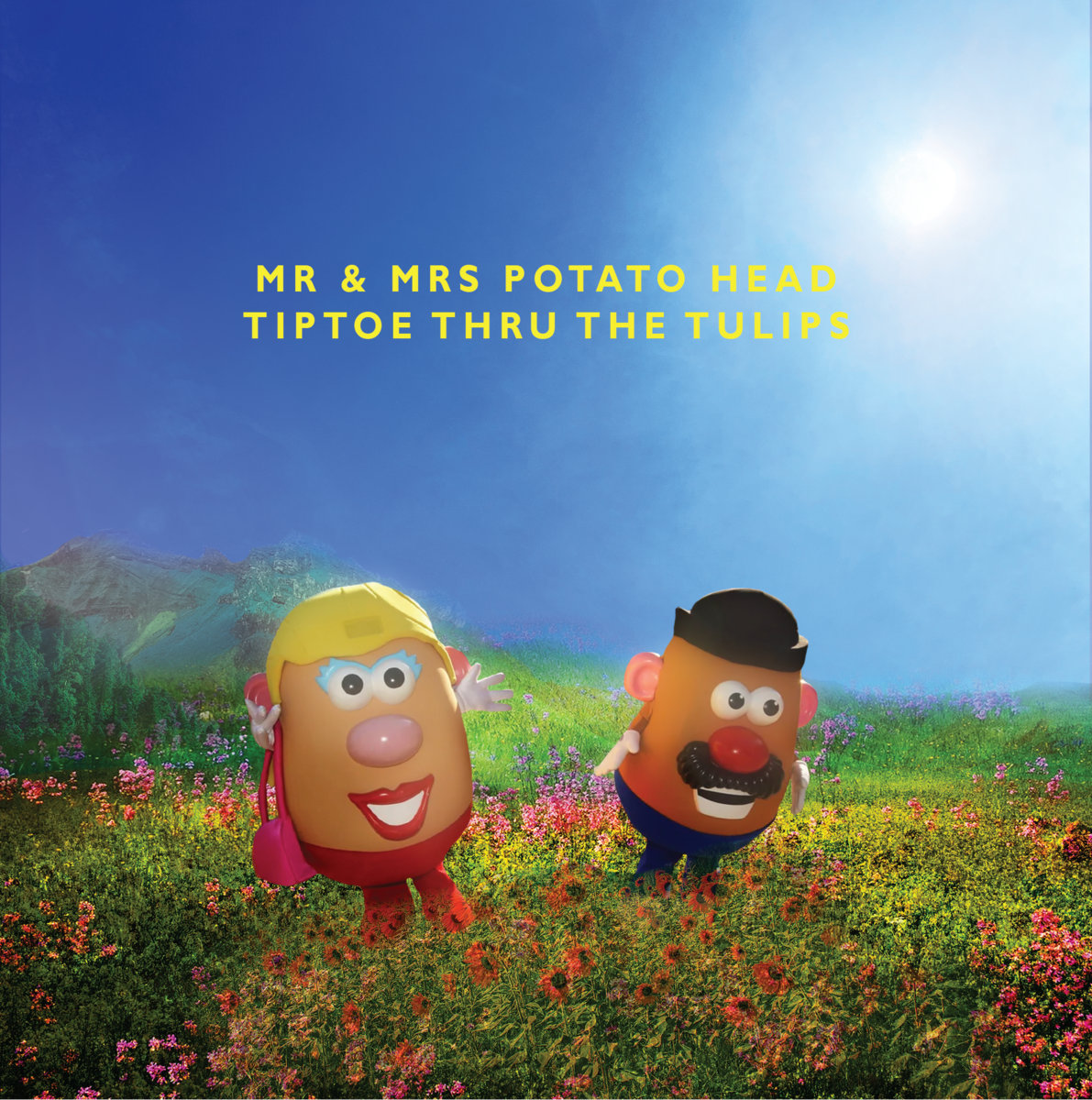 Mr & Mrs Potato Head Tiptoe Thru the Tulips | Secret Diary of a Sad ...