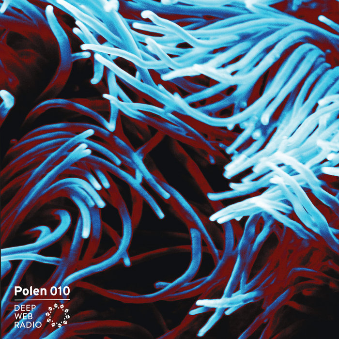 Deep Web Radio - Smisikis hidden adventure in cyberspace EP | polenrec