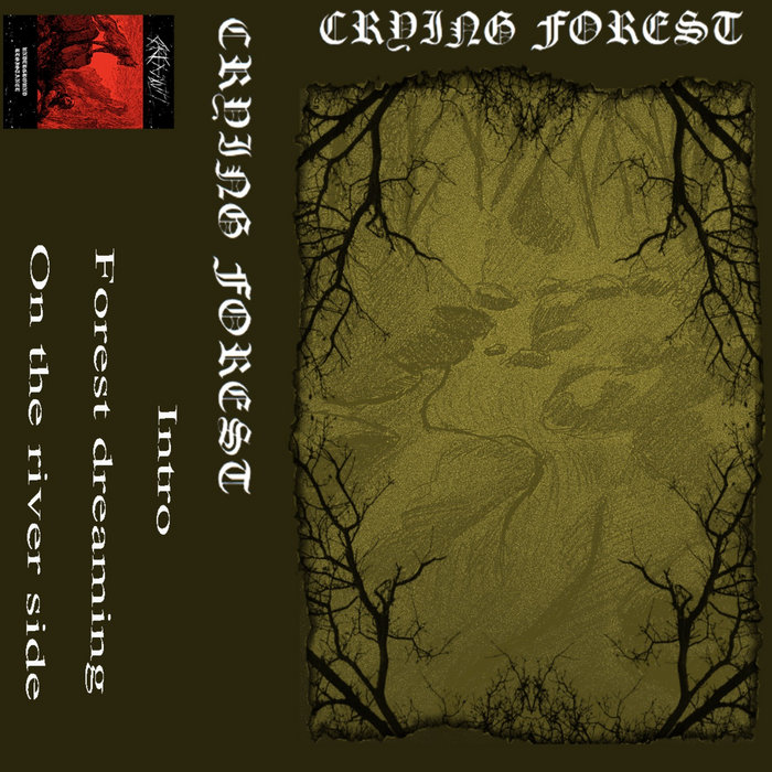 A Forest Journey | Crying Forest