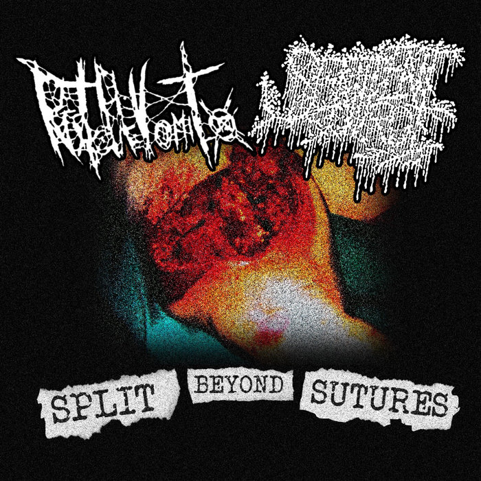 Split from beyond sutures [Split with Sentient rot] | Resto de vomito