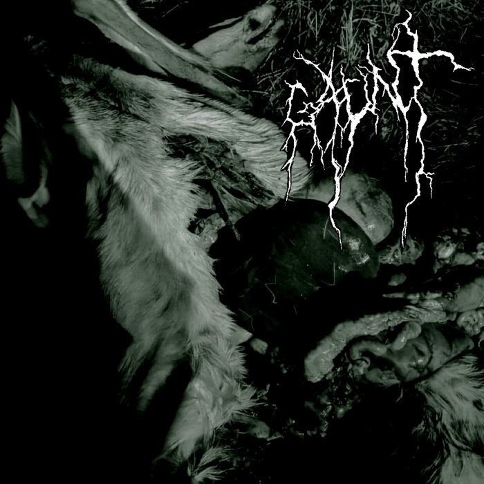 Demo 2020 | Gaunt | GAUNT