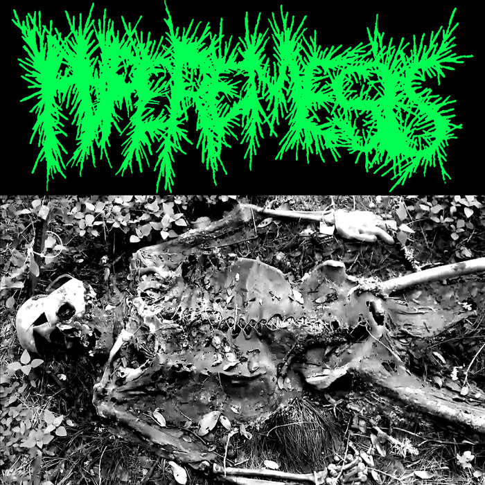 SPLIT WITH DOPE RESIN | HYPEREMESIS